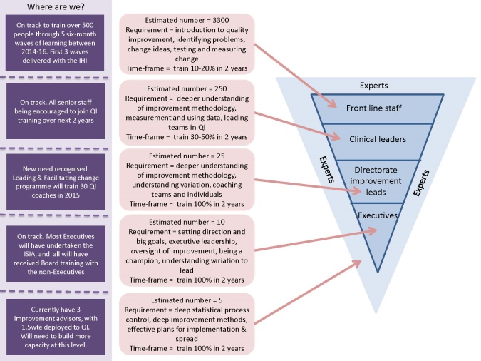 Driving System-Wide Healthcare Quality Improvement at East London NHS ...