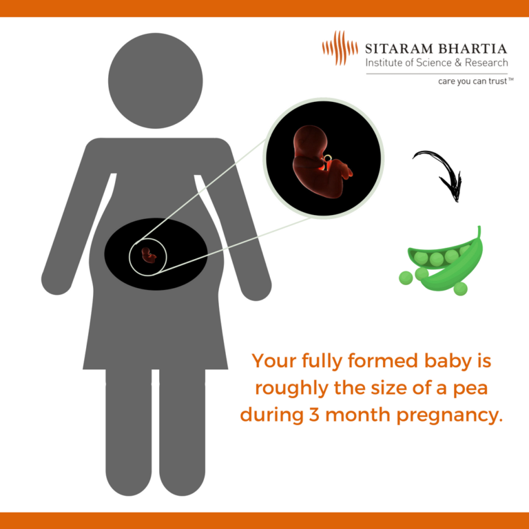 3 Month Pregnancy: Changes in Your Baby and You | Sitaram Bhartia Blog