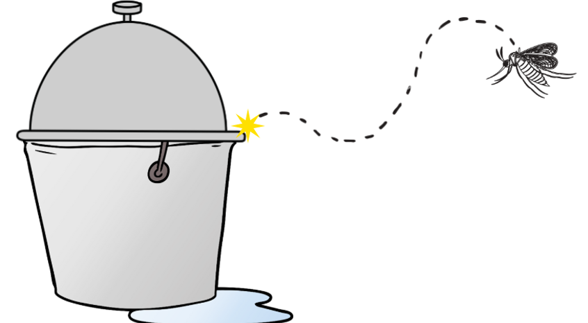 Keep Mosquitoes Away | 5 Tips for Prevention of Dengue