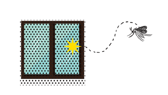 Keep Mosquitoes Away | 5 Tips for Prevention of Dengue