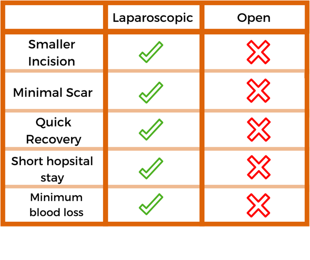 What is a Laparoscopically Assisted Vaginal Hysterectomy (LAVH ...